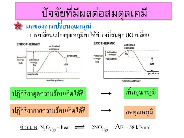 สื่อการสอน Chemical equilibrium