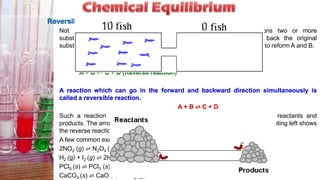 Chemical equilibrium manik | PPSX | Chemistry | Science