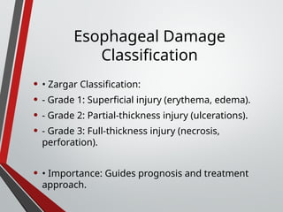 Chemical_Esophageal_Burns_Presentation.pptx