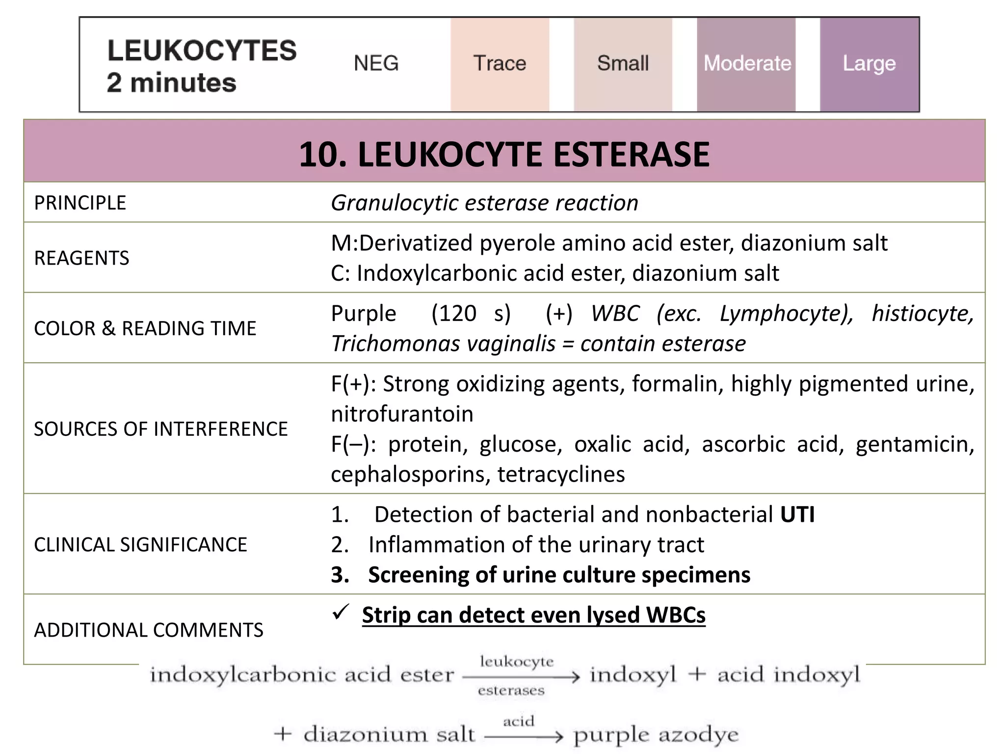 Chemical examination of urine (rgt strip) | PPTX