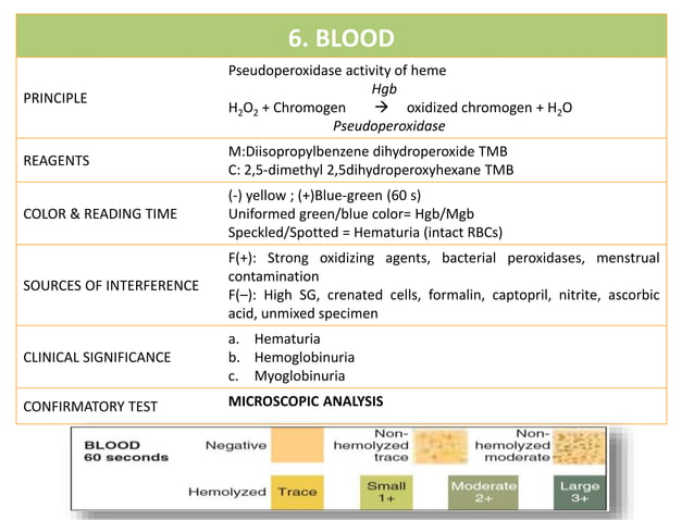 Chemical examination of urine (rgt strip) | PPTX | Chemistry | Science