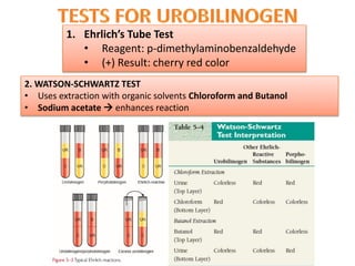 Chemical examination of urine (rgt strip) | PPTX