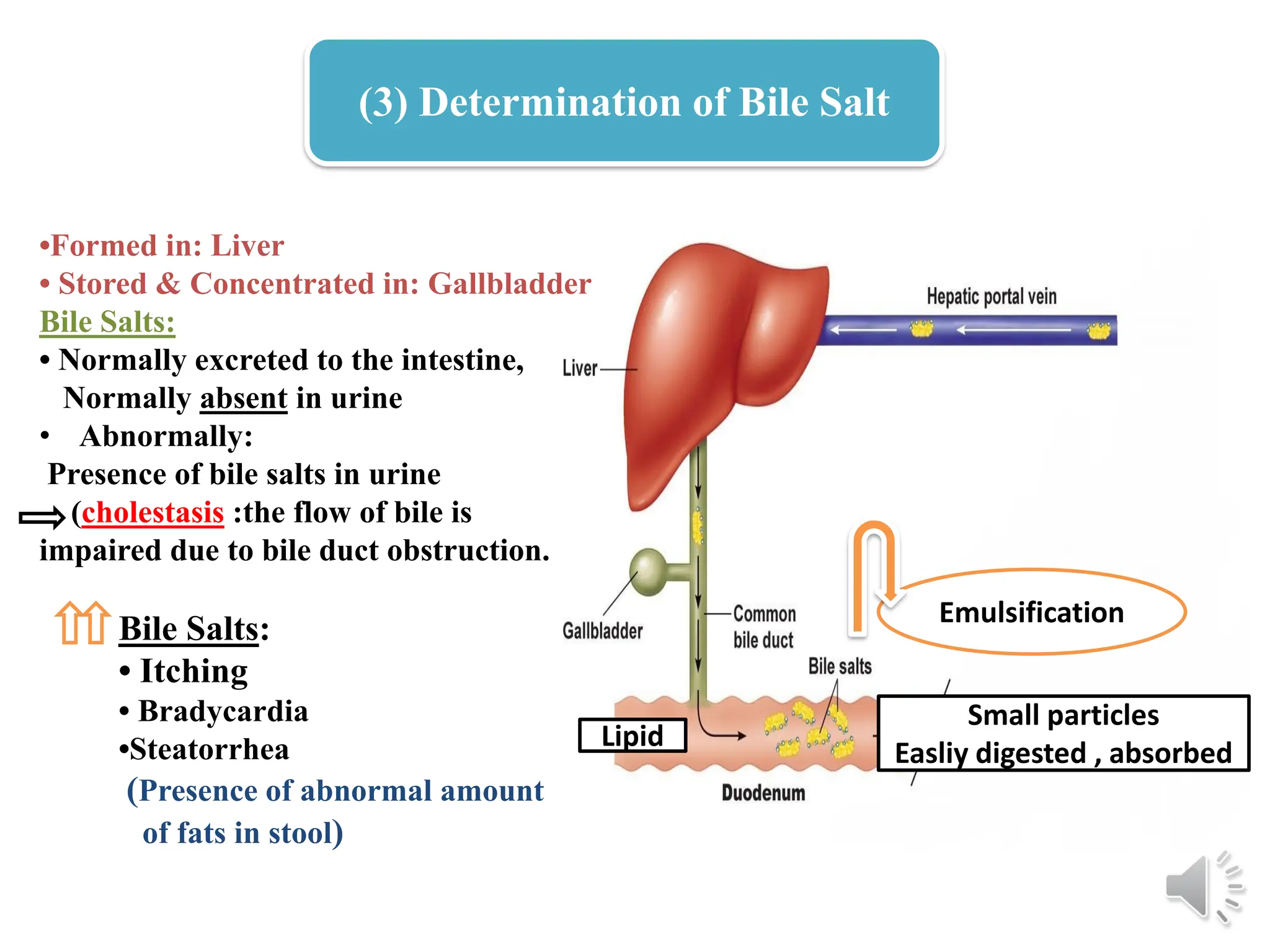 Chemical Examination (Pdf).pdf for study | PDF