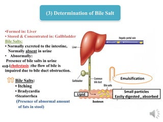 Chemical Examination (Pdf).pdf for study | PDF