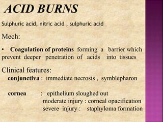 Chemical eye injuries ruhi.pptx