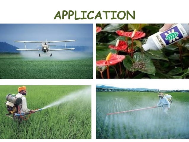 Chemical fertilizer spowr pt | PPT