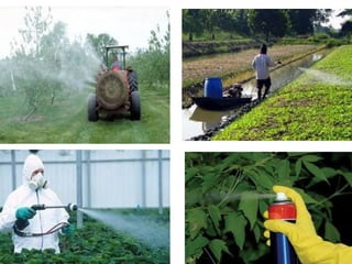 Chemical fertilizer spowr pt | PPT