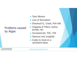 Chemical_Free_Treatment_of_Algae.pdf