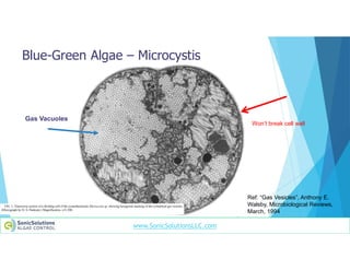 Chemical_Free_Treatment_of_Algae.pdf