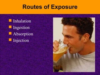 Hazardous Chemical handling | PPT