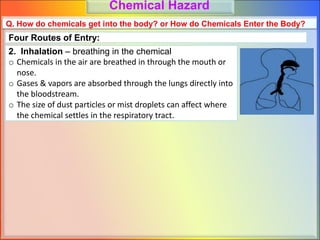 5203 Disaster and Climate Resilience, Occupational Health and Safety ...