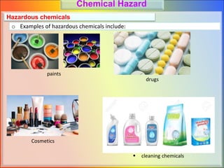 5203 Disaster and Climate Resilience, Occupational Health and Safety ...