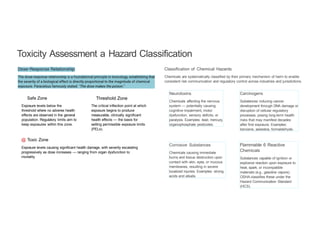 Comprehensive Overview of Chemical Exposure and Health Risks in Daily ...