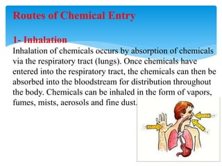Chemical hazards by Karwan Omer Ali, Greza | PPTX | Indoor ...