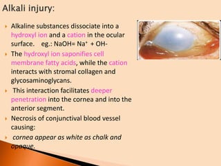 Chemical injuries | PPT