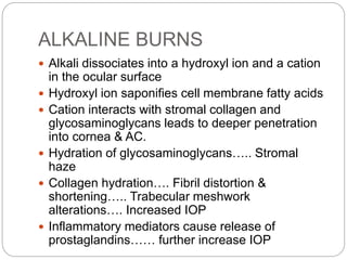 CHEMICAL INJURIES.pptx