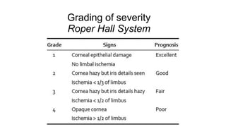 Chemical Injuries in ophthalmological view | PPT