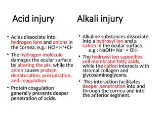 CHEMICAL INJURIES of the EYE and its management | PPT