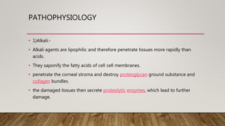 Ocular Chemical Injury | PPTX