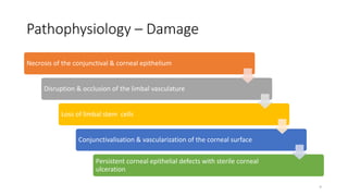 Chemical injury karan | PPTX