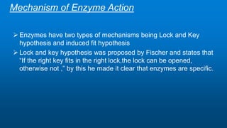 CHEMICAL KINETICS AND ENZYMES B23350B,B223081B,B224645B.pptx