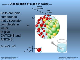 Chemical level | PPT