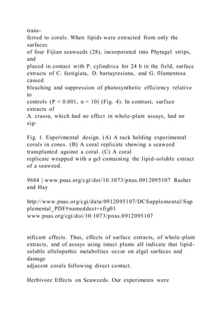 Chemically rich seaweeds poison corals when notcontrolled by | PDF