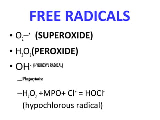 basic chemical mediator | PPT