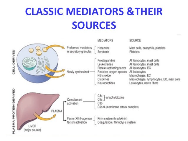 basic chemical mediator