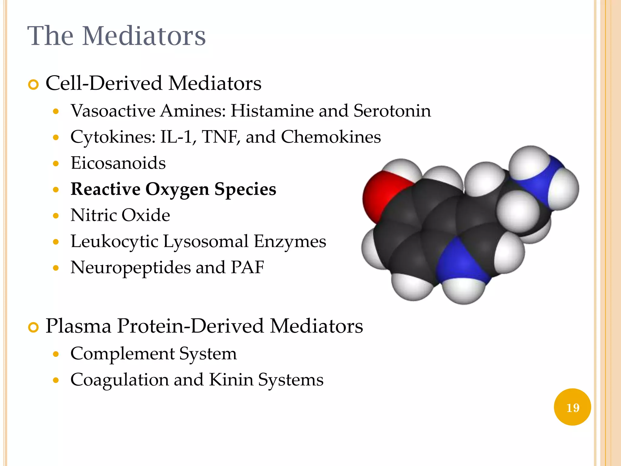 Chemical Mediators of Acute Inflammation | PPTX