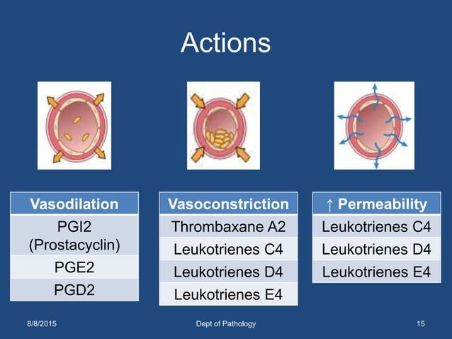 Chemical Mediators Of Inflammation Pptx
