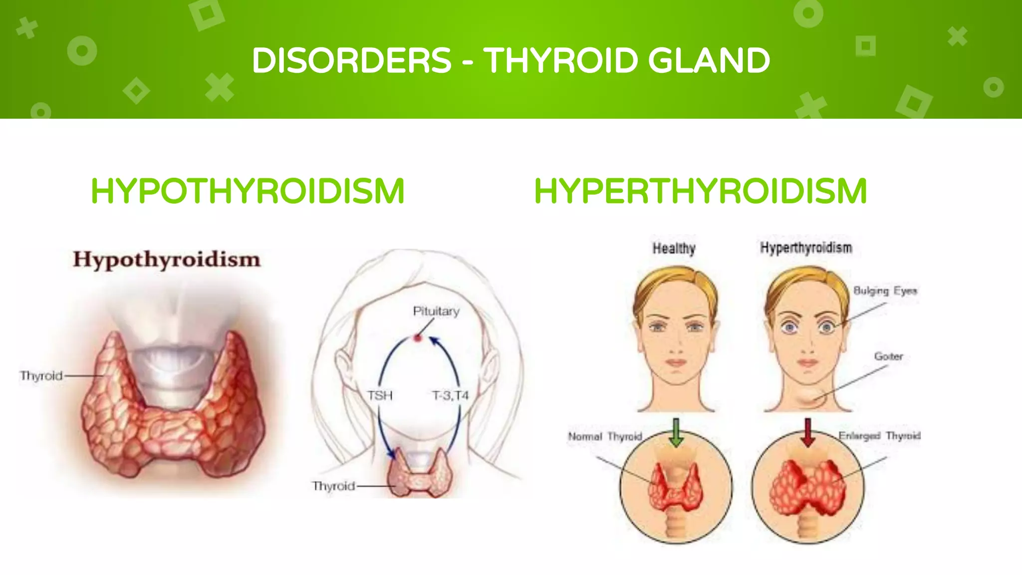 Chemical messages for homeostasis | PDF