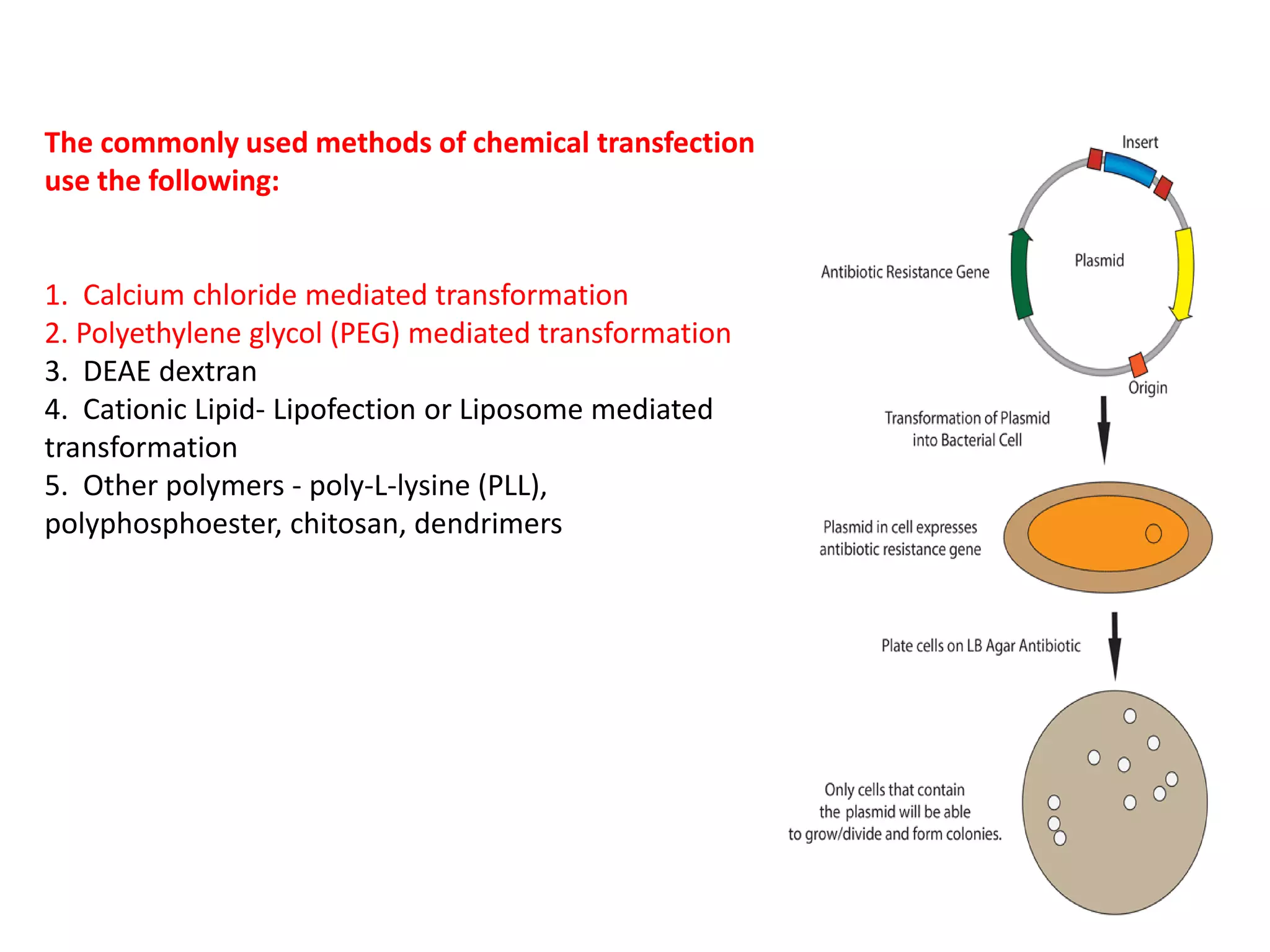 Chemical method of transformation | PDF