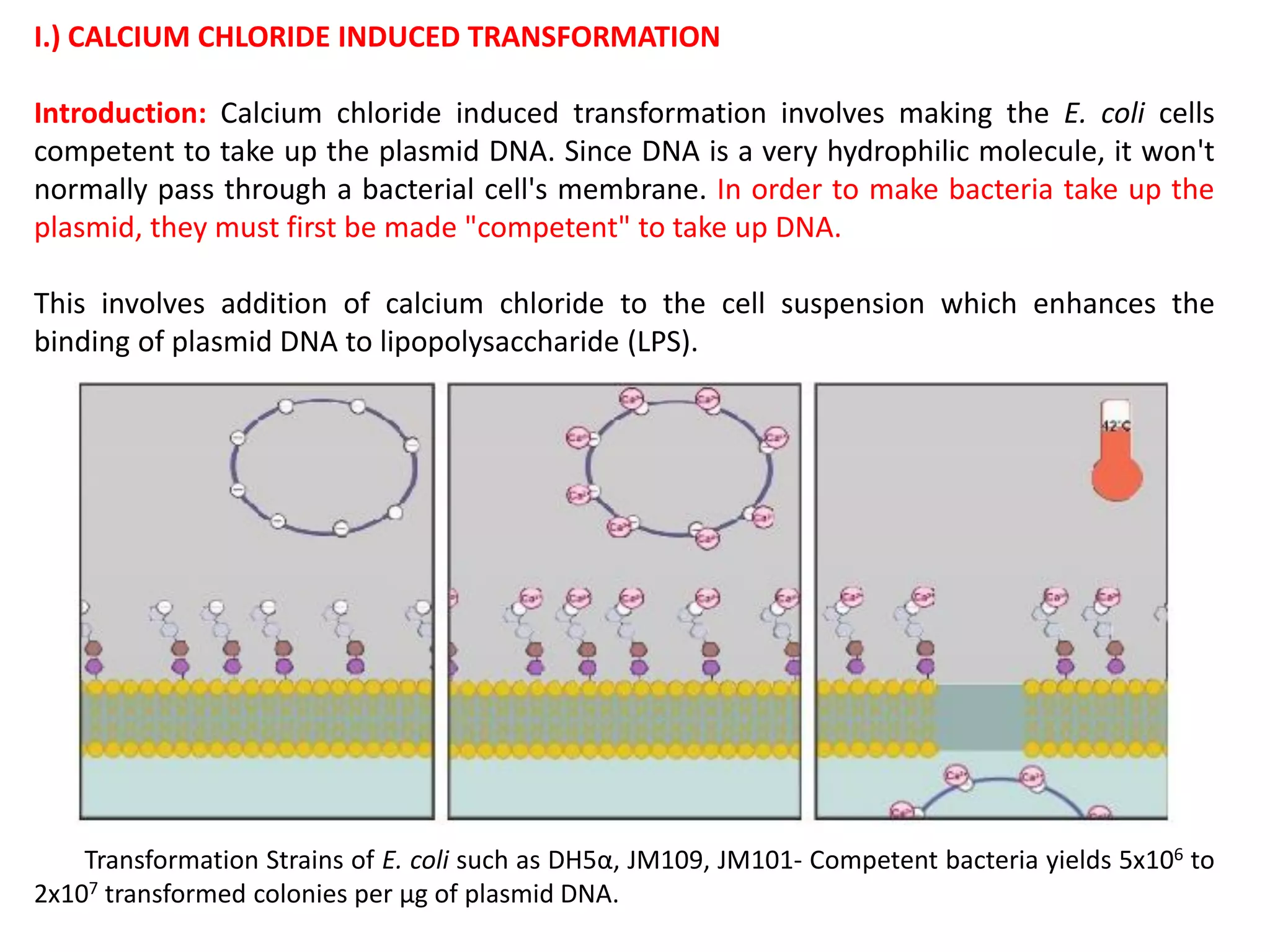 Chemical method of transformation | PDF