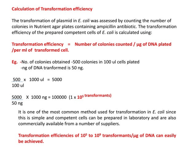 Chemical method of transformation | PDF | Biological Sciences | Science