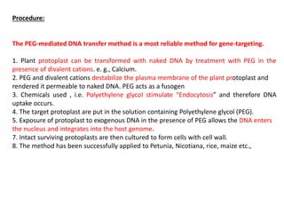 Chemical method of transformation | PDF