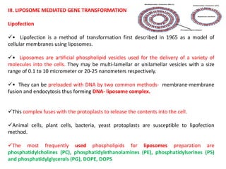 Chemical method of transformation | PDF | Biological Sciences | Science