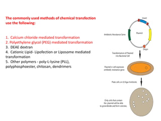 Chemical method of transformation | PDF
