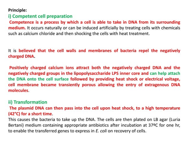 Chemical method of transformation | PDF | Biological Sciences | Science