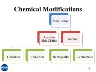 Chemical Modifications of Protein and its Applications | PPTX