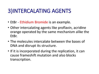 CHEMICAL MUTAGENIC AGENTS | PPTX