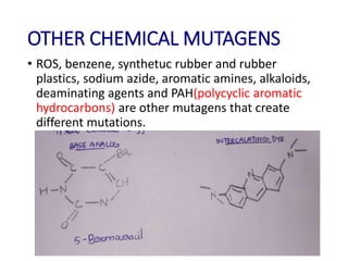 CHEMICAL MUTAGENIC AGENTS | PPTX
