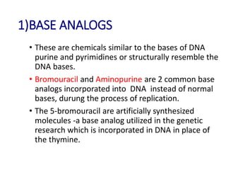 CHEMICAL MUTAGENIC AGENTS | PPTX