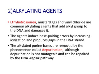 CHEMICAL MUTAGENIC AGENTS | PPTX
