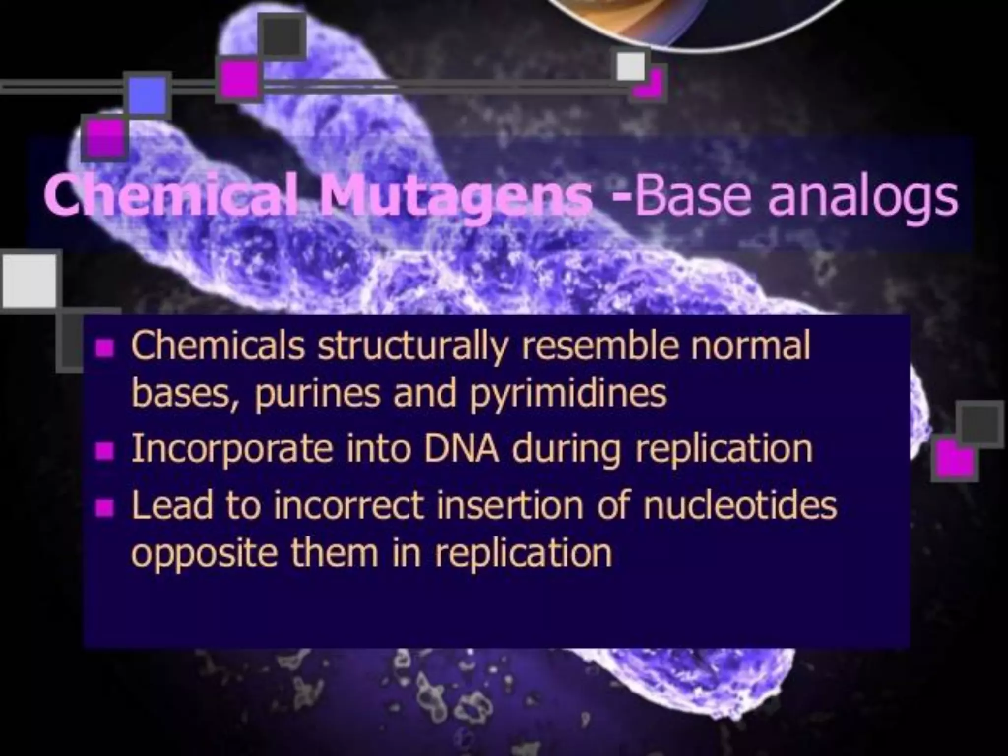 Chemical mutagens | PDF