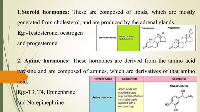 Chemical nature and gross features of hormones - pptx | PPTX | Hormonal ...