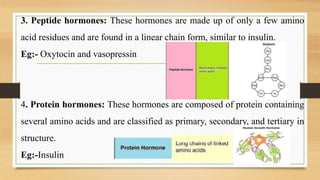 Chemical nature and gross features of hormones - pptx | PPTX