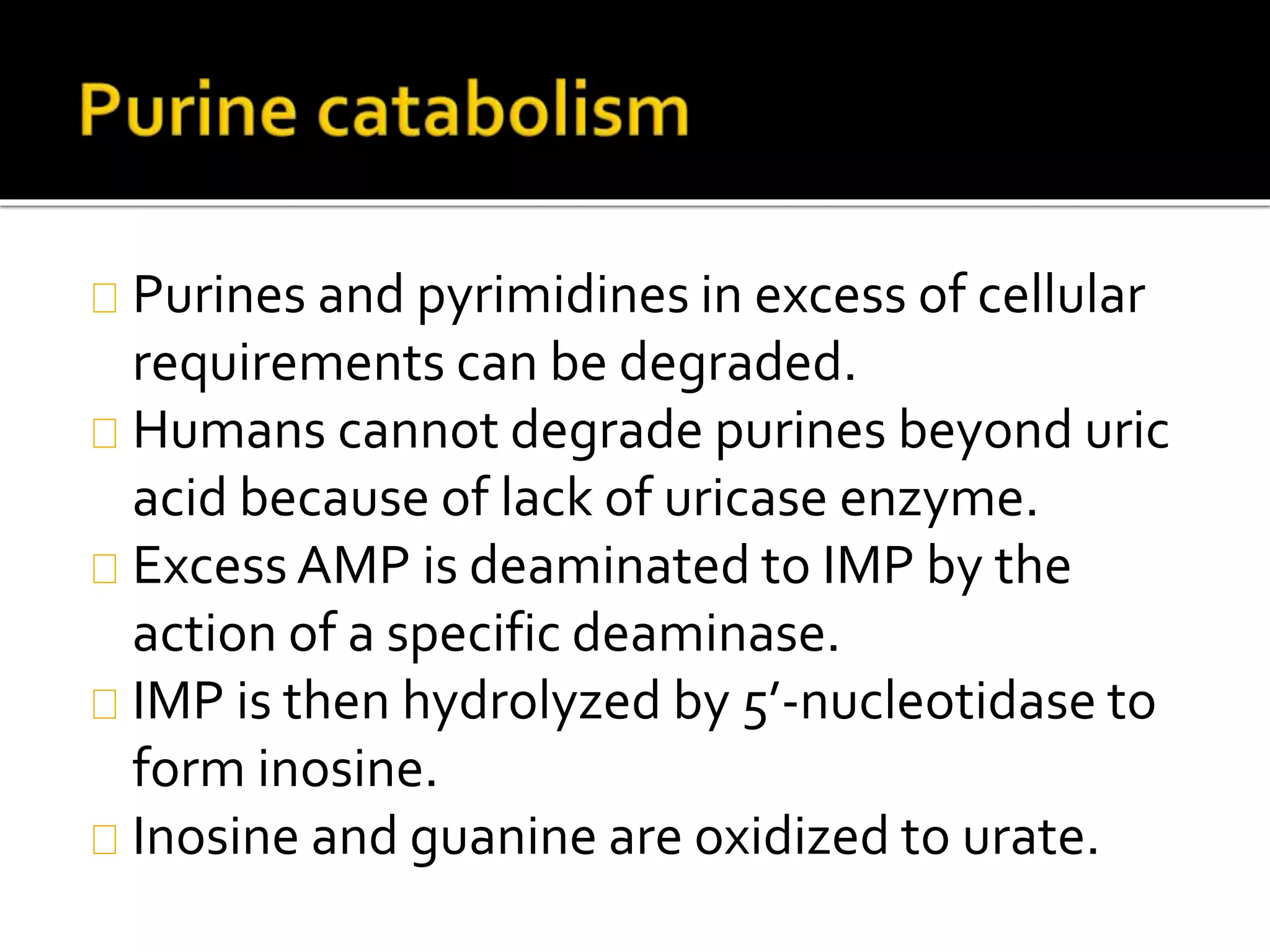 Chemical nature, biosynthesis & degradation of purines | PPTX