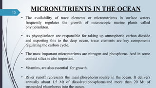 chemical oceanography science susheel.pptx