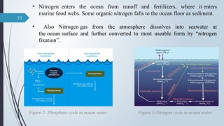 chemical oceanography science susheel.pptx